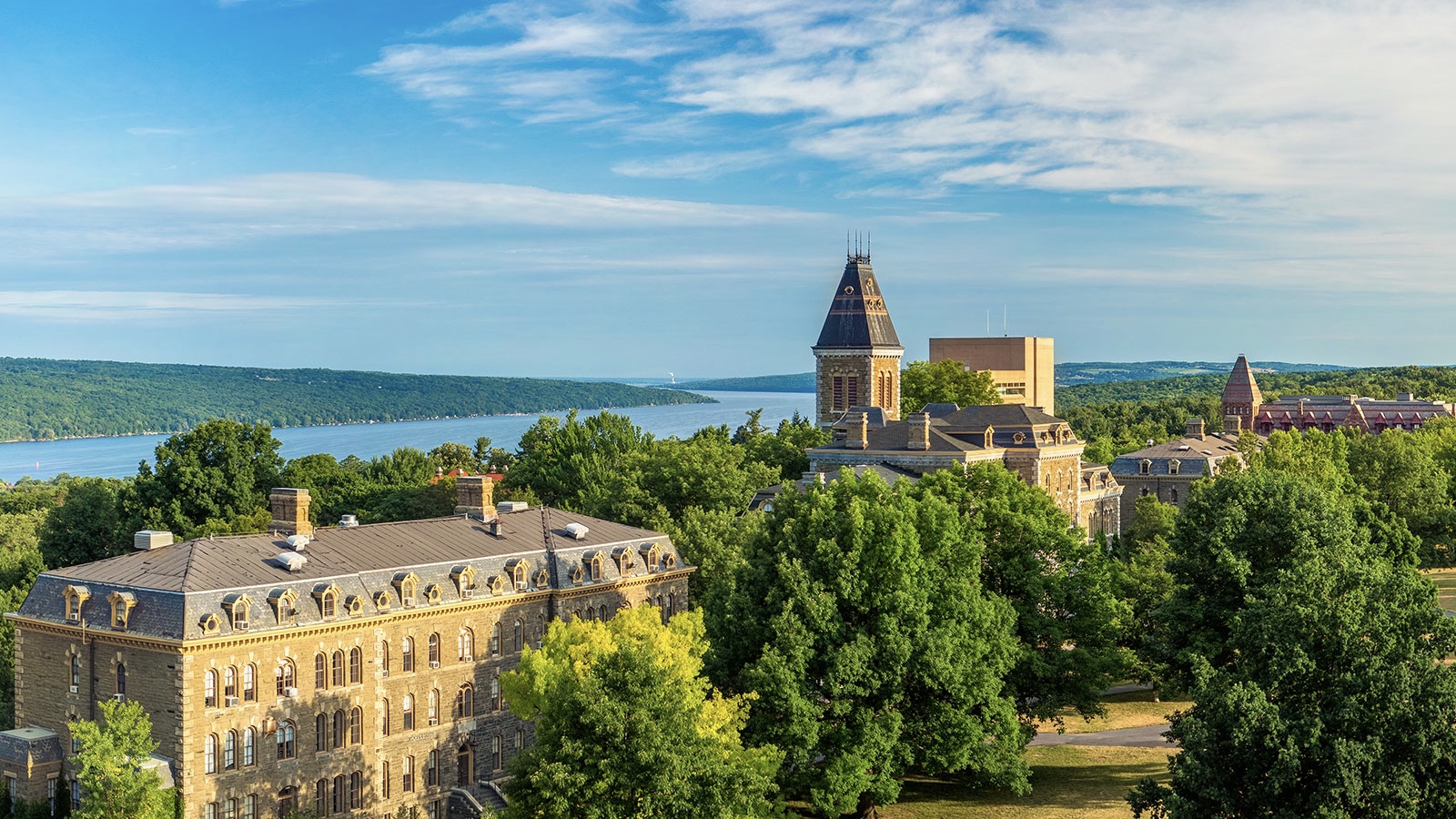 Join the Lab – LAURA NIEMI, PHD